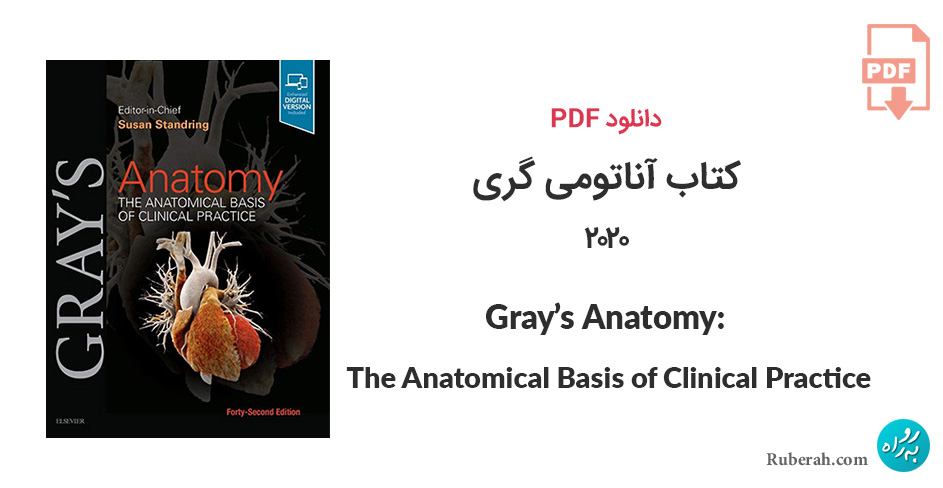 دانلود کتاب آناتومی گری 2020 Gray’s Anatomy: The Anatomical Basis of ...